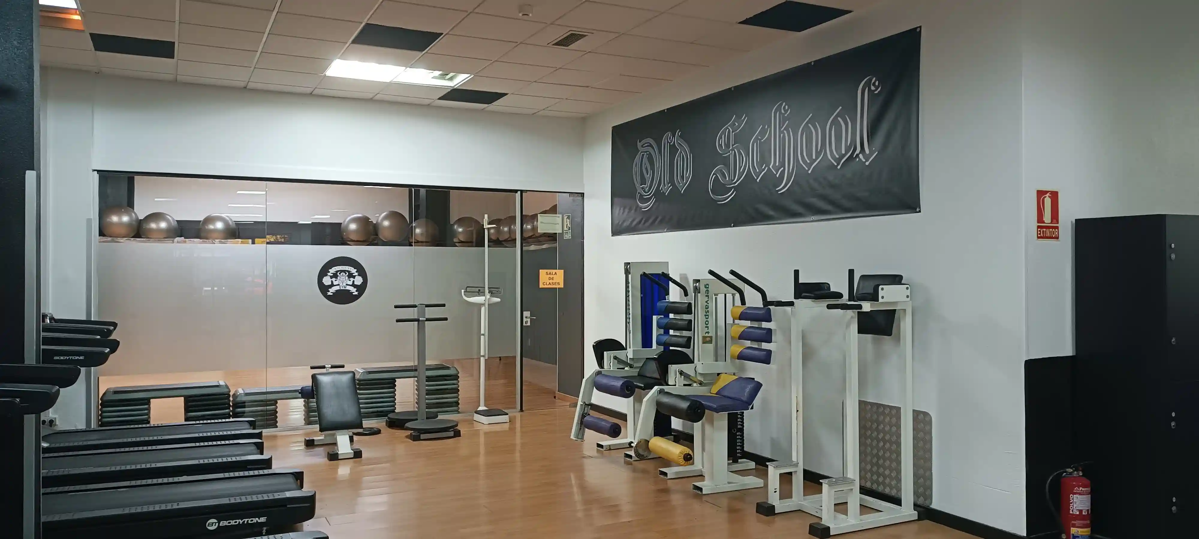 Viking Brothers Gym | Zaragoza